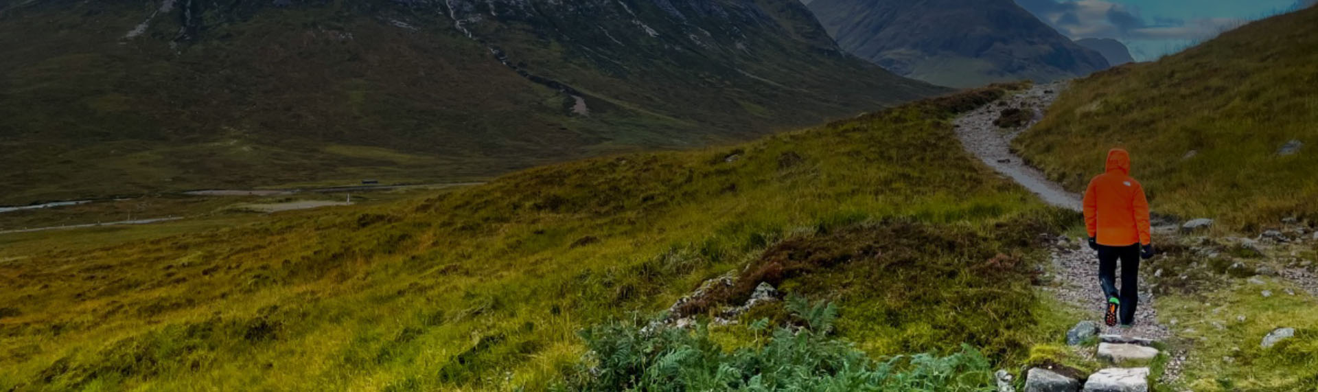 WALK IT BACK - The Wilful - B Corp - Communications for Sustainable ...