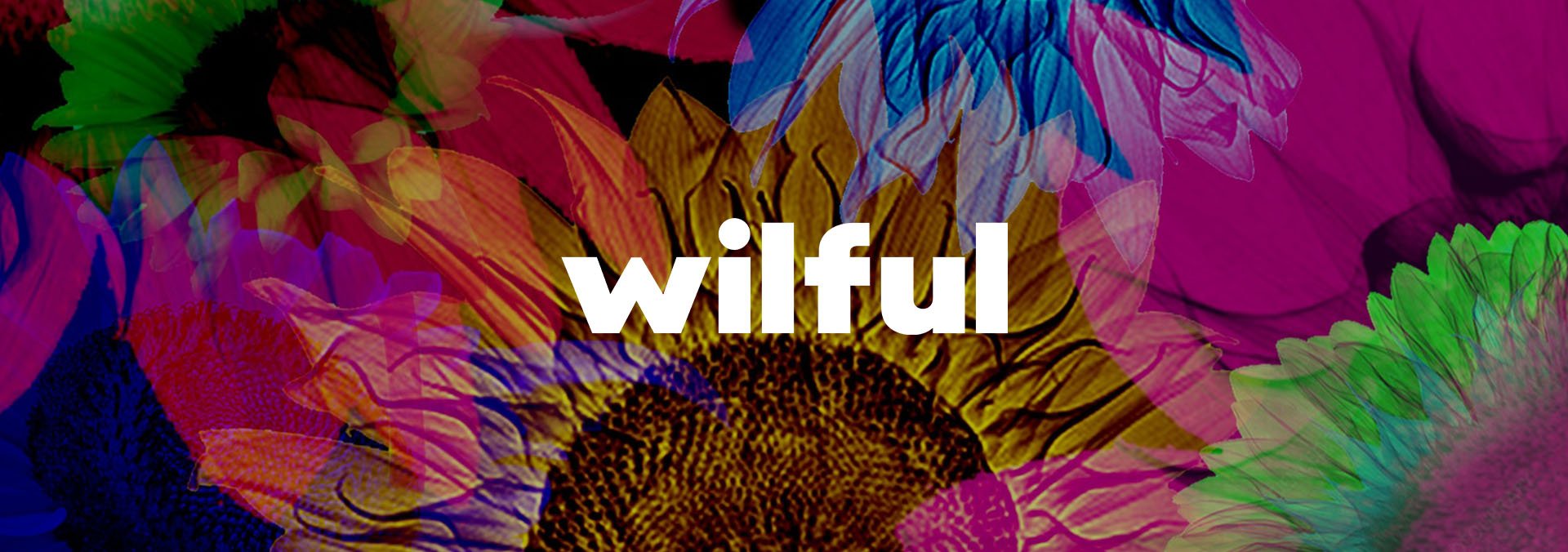 Renewable Energy - The Wilful - B Corp - Communications for Sustainable ...